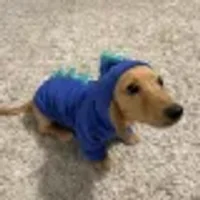 pipin.dev | Full-Stack Developer Portfolio